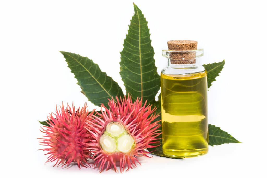 Where Does Castor Oil Come From? | Healing Haven