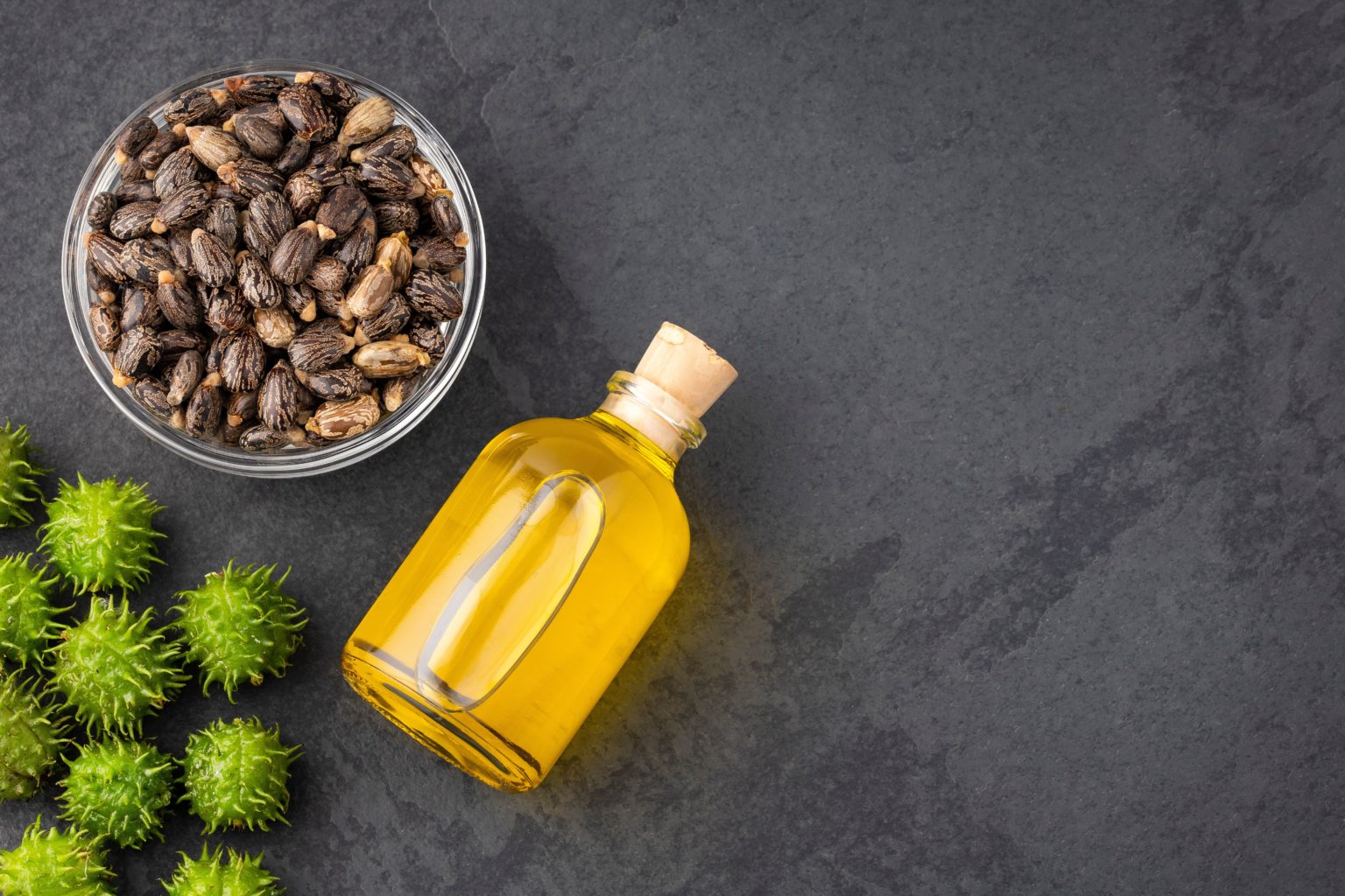 Where Does Castor Oil Come From? | Healing Haven
